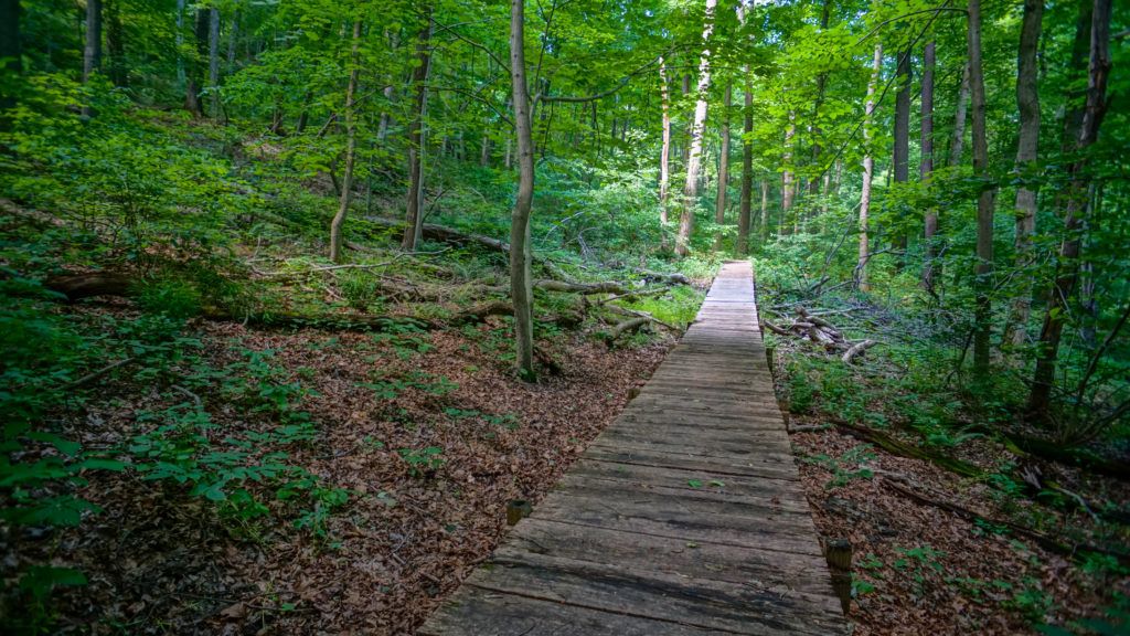 10 Reasons to Visit Pittsburgh in March - Spring is Coming