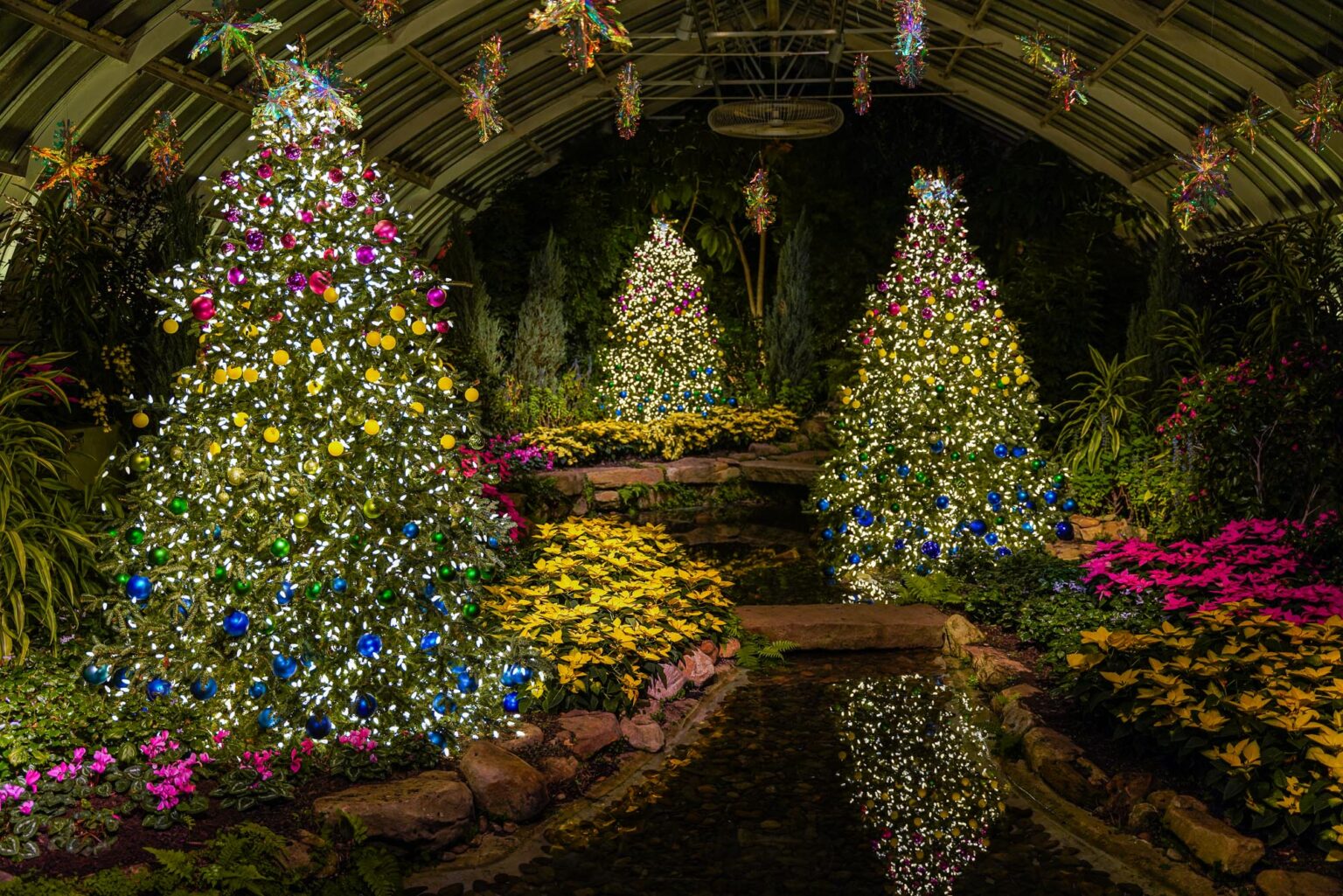 Phipps Conservatory's Winter Flower Show - Holiday Magic