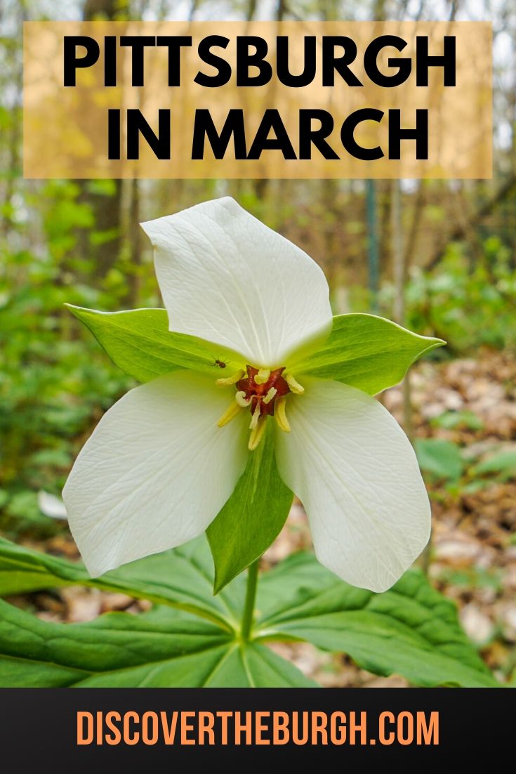 10 Reasons to Visit Pittsburgh in March - Spring is Coming