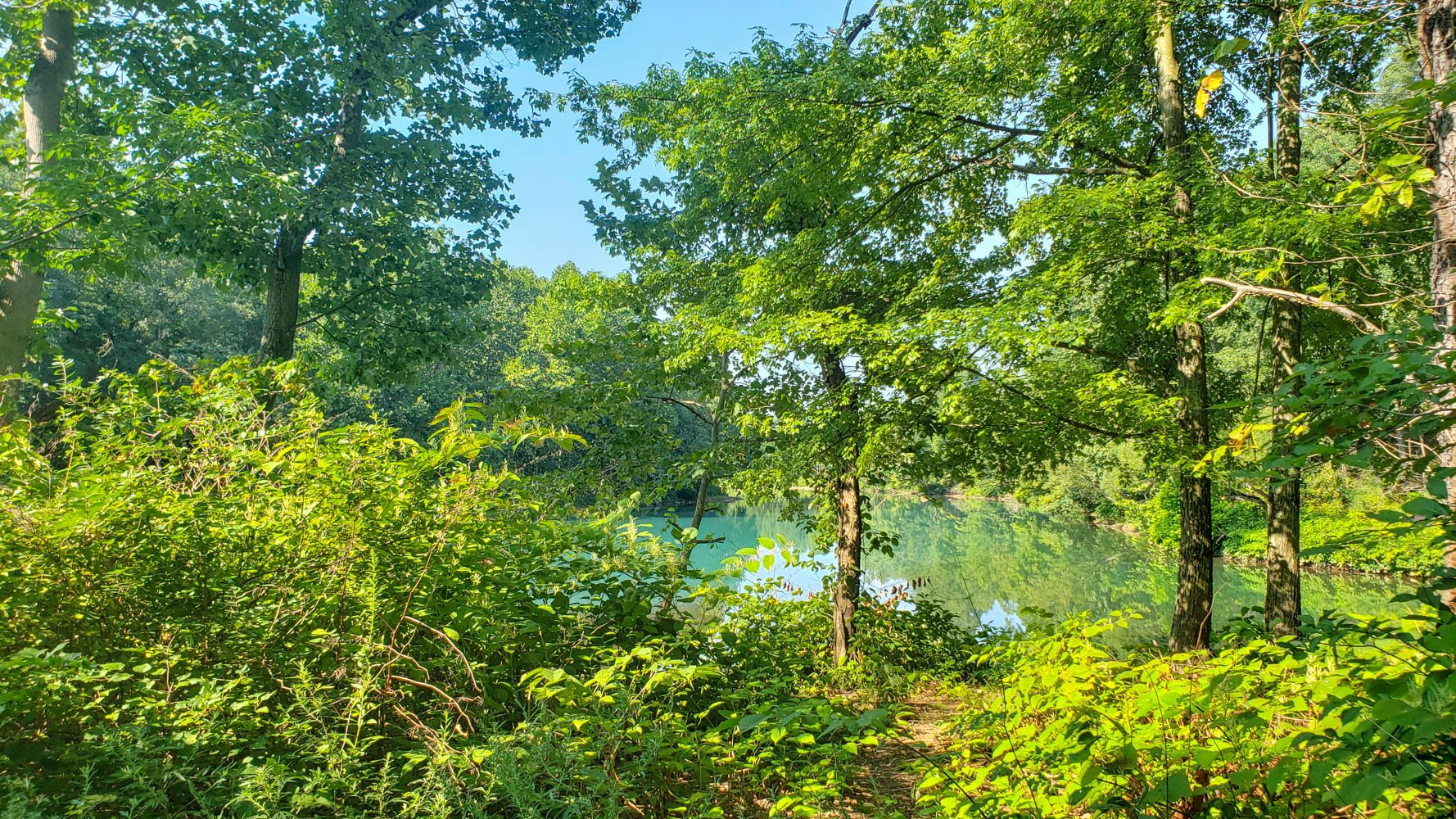 Going for a 10-Mile Ride on the Hoodlebug Trail Near Indiana, PA