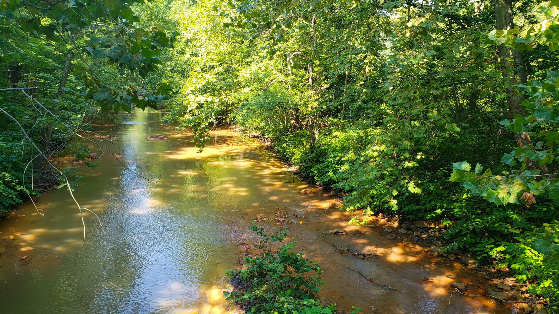 Going for a 10-Mile Ride on the Hoodlebug Trail Near Indiana, PA