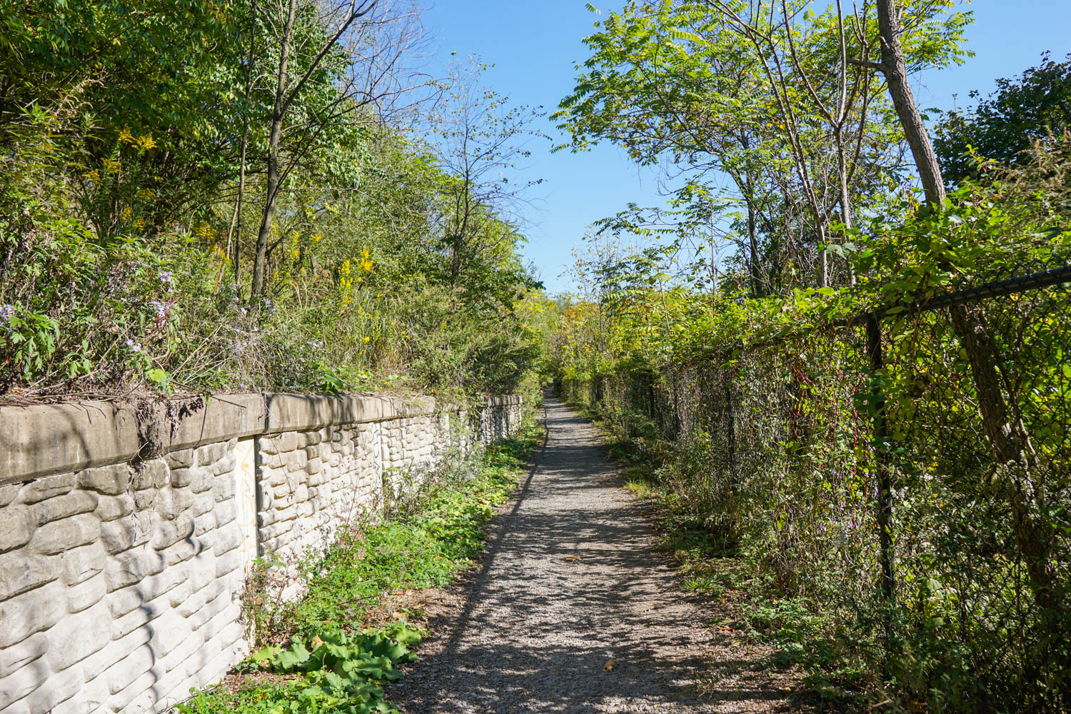 Hiking Nine Mile Run from Frick Park to Duck Hollow