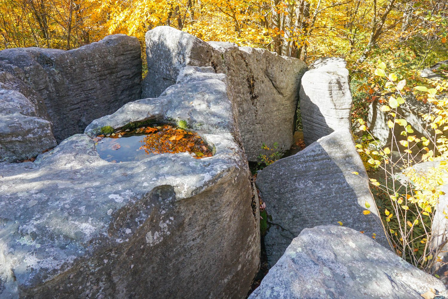 A Brief Visit to Mount Davis - Highest Point in Pennsylvania