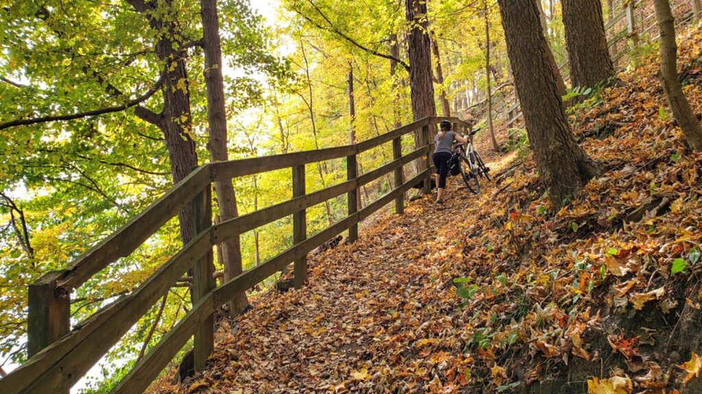 7 of the Best Places to View Fall Colors in Pittsburgh