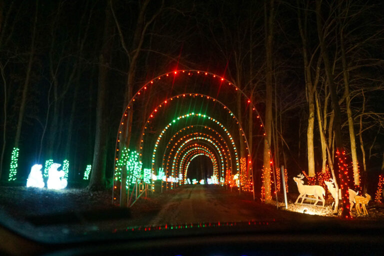 10 of the Best Places for Christmas Lights in Pittsburgh