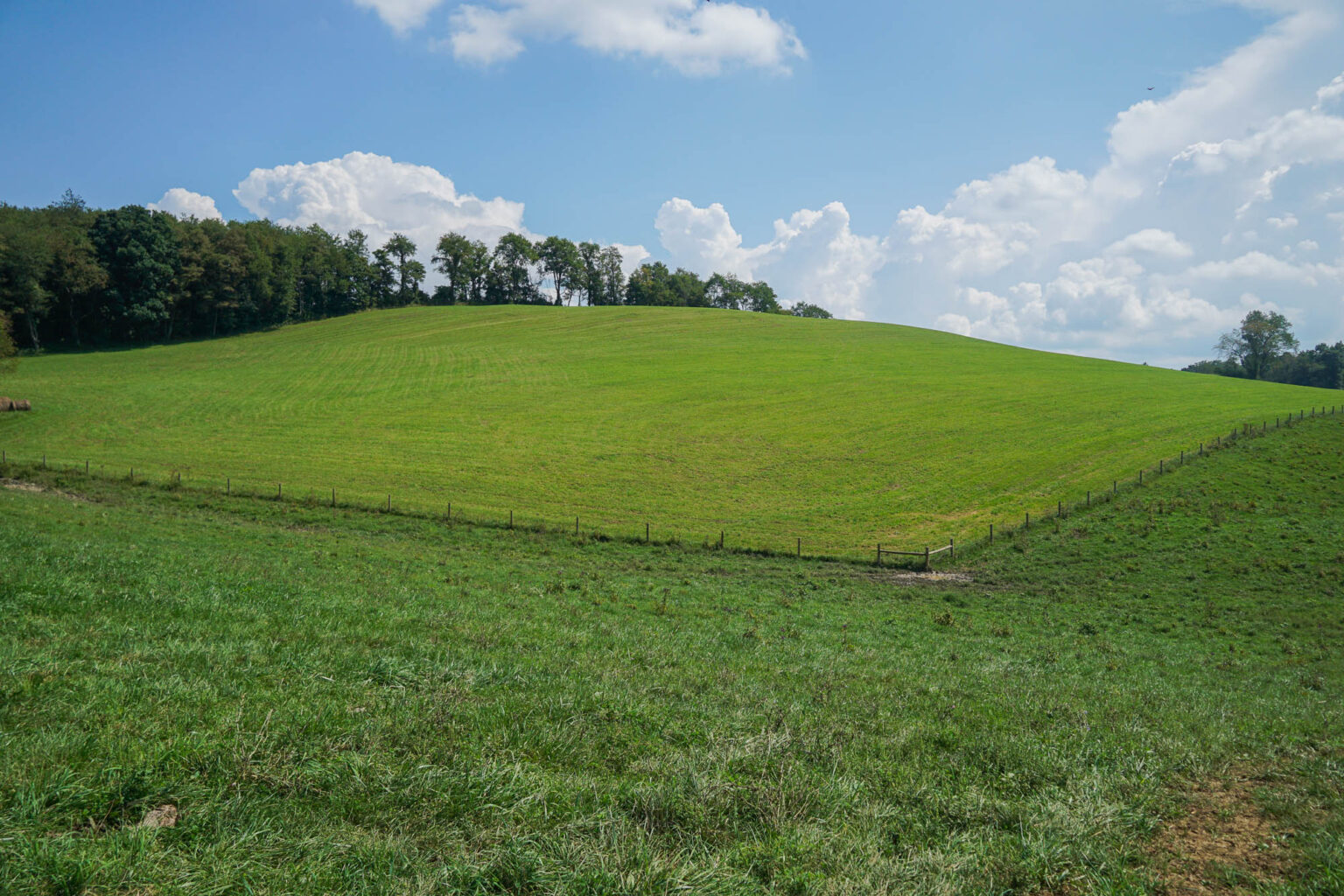 Touring Birch Creek Farmery Gives an Appreciation for Ethical Farming
