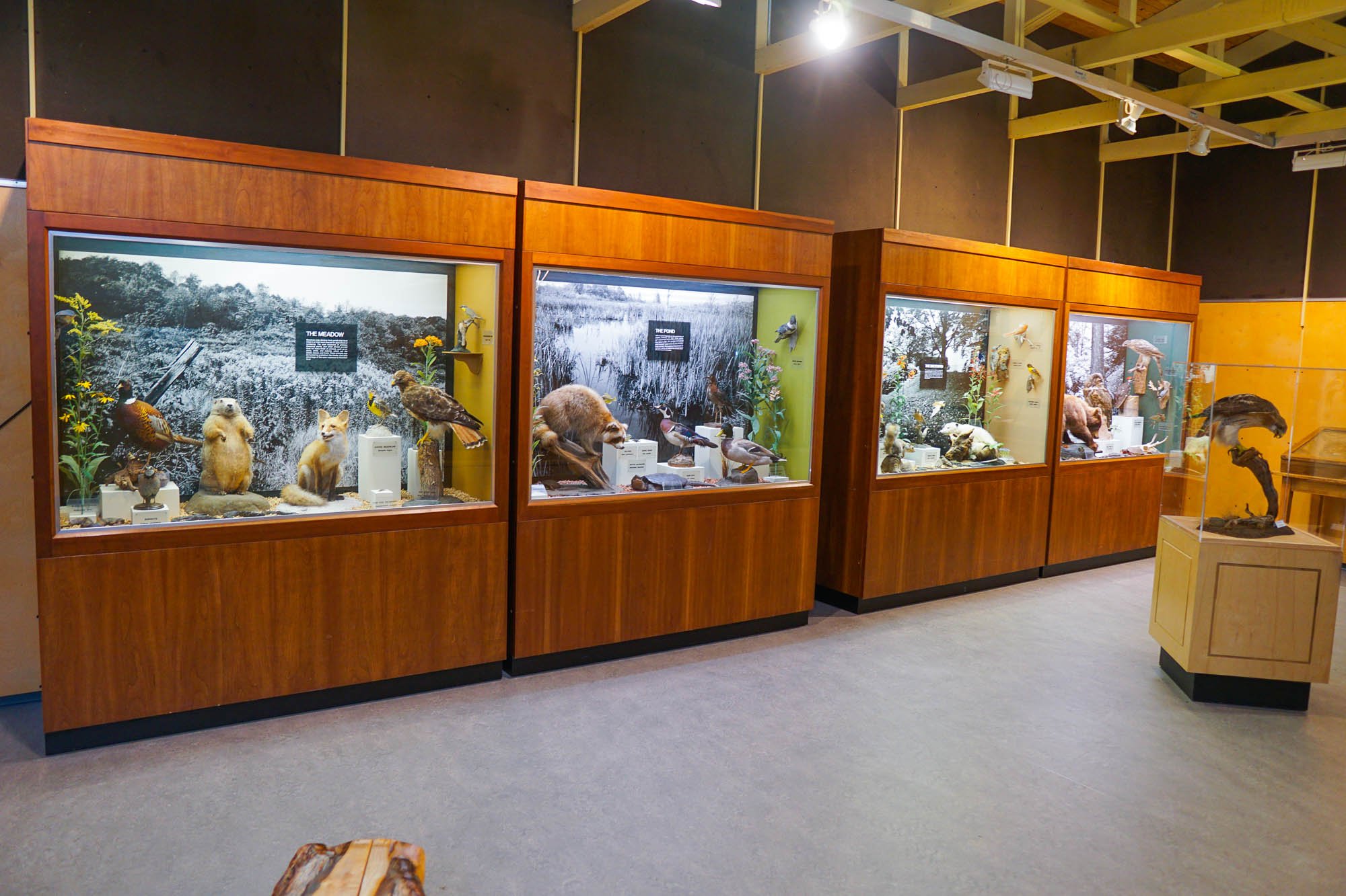 Powdermill Nature Reserve is a Hidden Gem in the Laurel Highlands