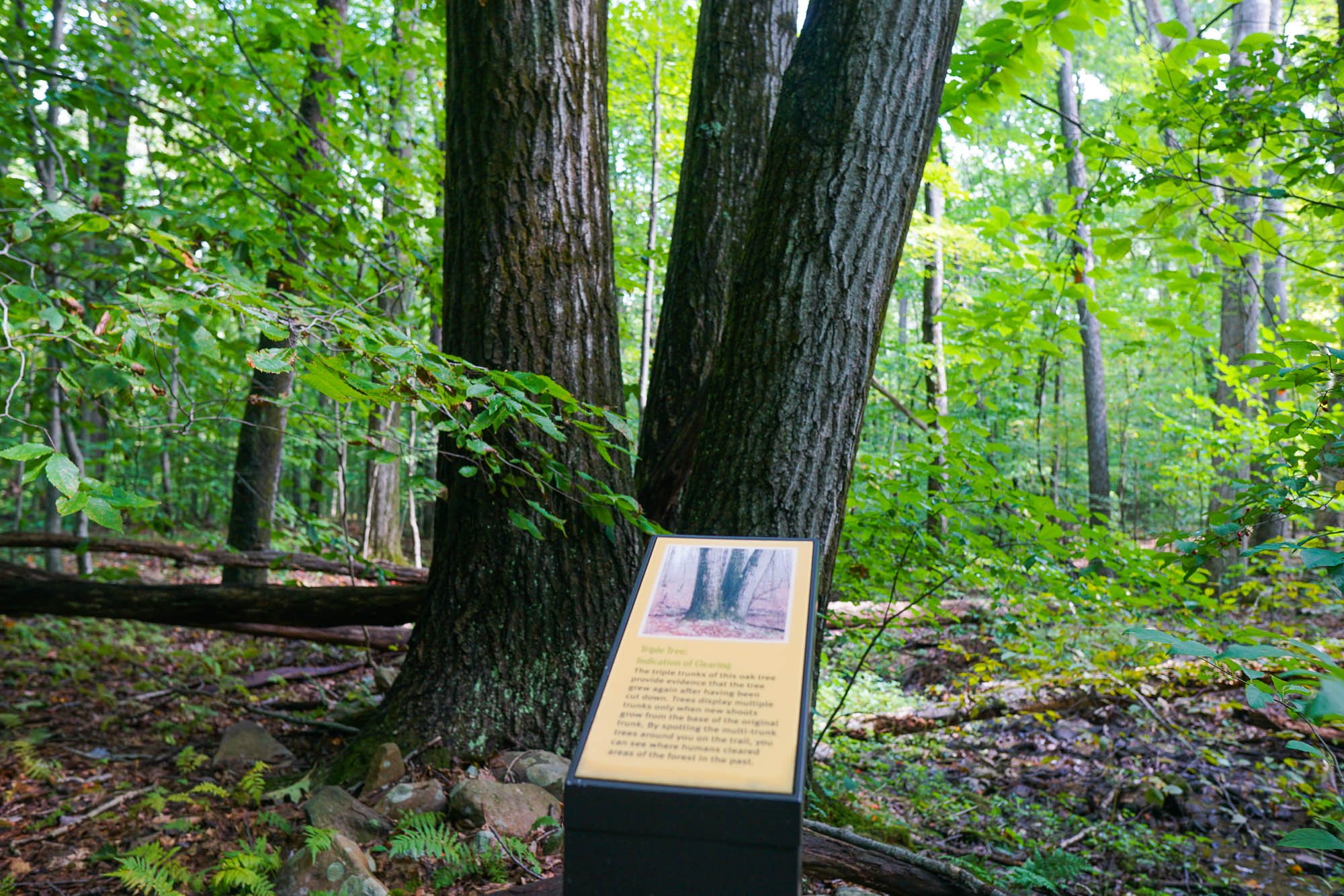Powdermill Nature Reserve is a Hidden Gem in the Laurel Highlands