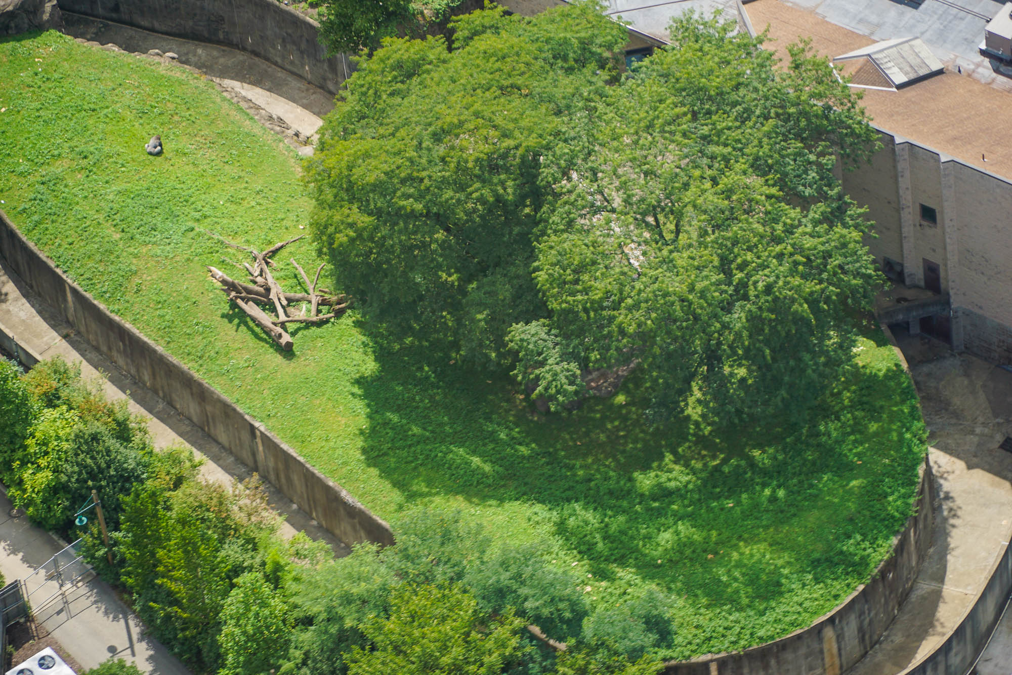 Helicopter Tours in Pittsburgh With Vortex Helicopter