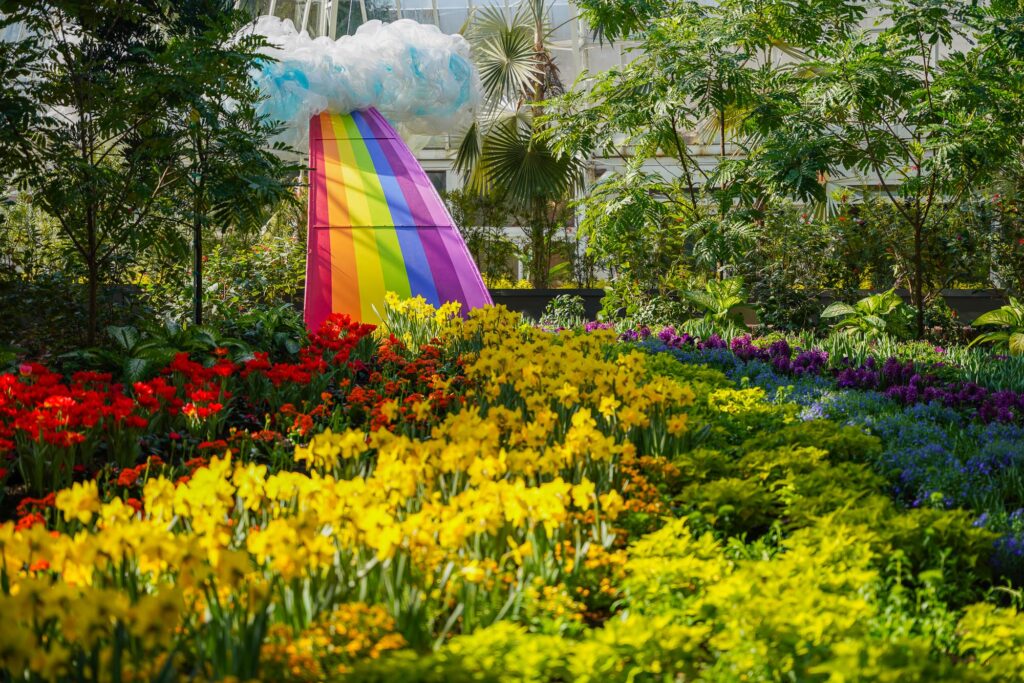 Phipps Conservatory's Spring Flower Show - Sunshine and Rainbows