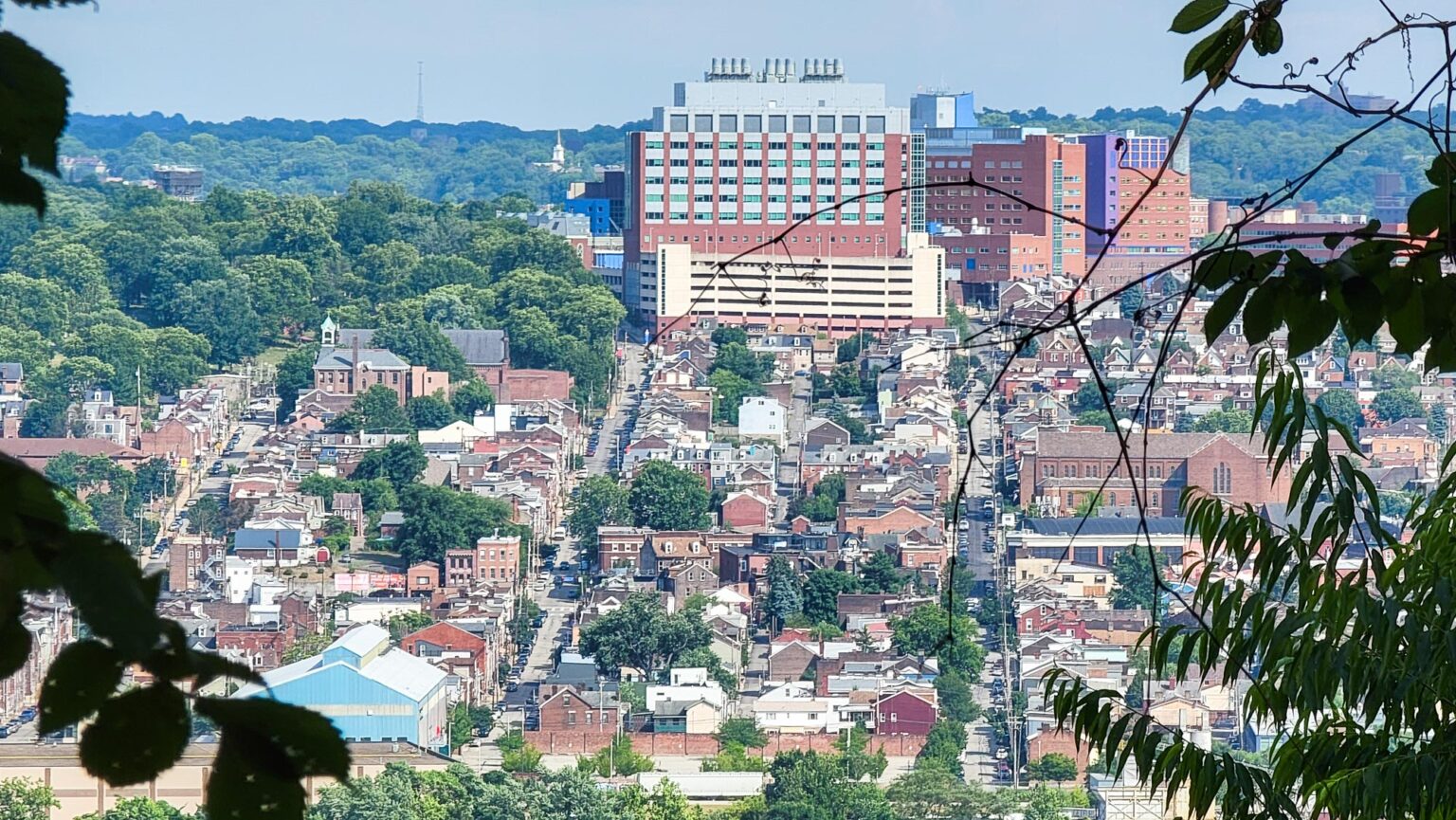 A Quick Trip Into Nature at Girty's Woods Near Millvale