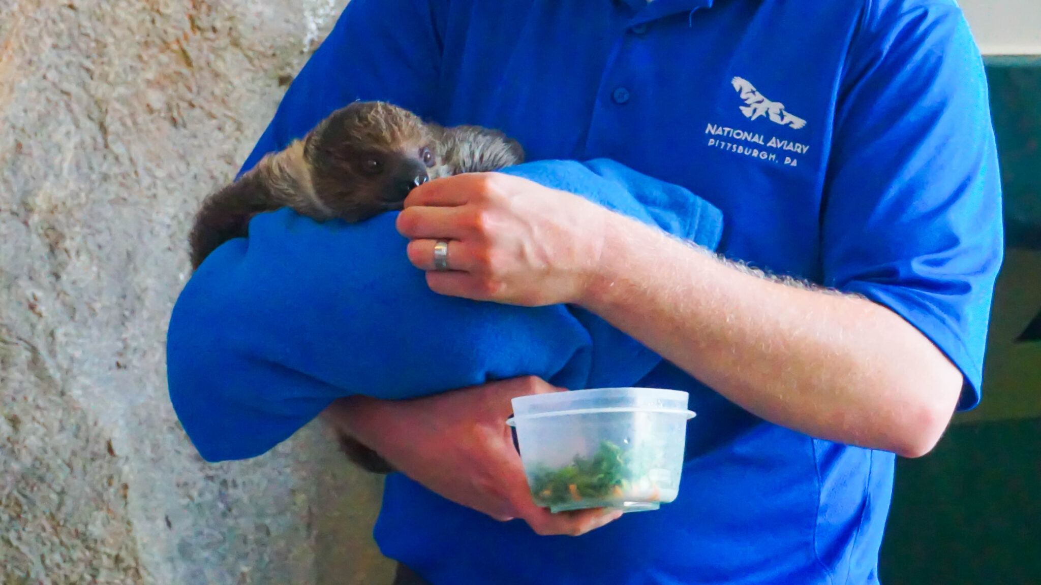 10 Great Pittsburgh Date Night Ideas - Dates for All Budgets