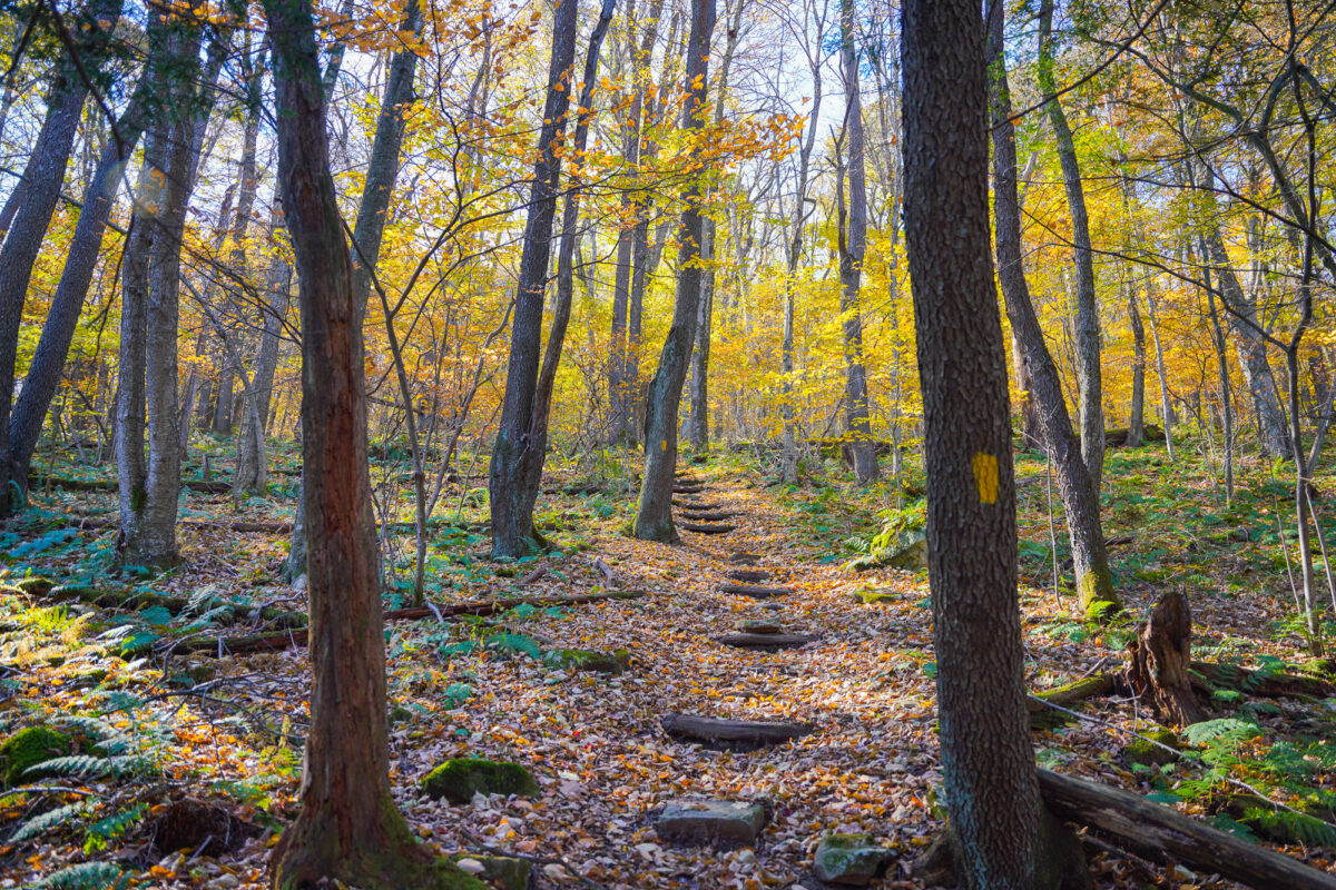 A Quick Hike Around Kooser State Park - A Smaller Gem