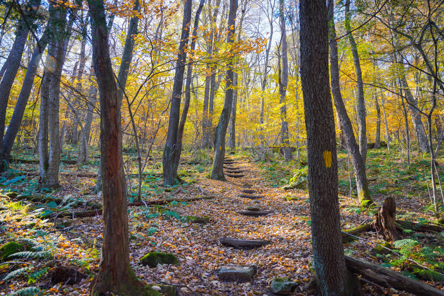 A Quick Hike Around Kooser State Park - A Smaller Gem