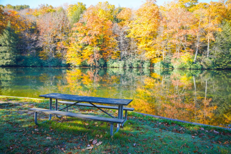 A Quick Hike Around Kooser State Park - A Smaller Gem