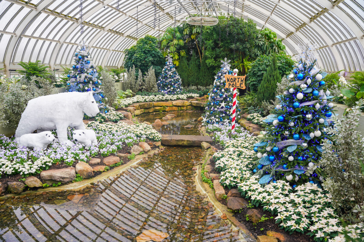 Phipps Conservatory's Winter Flower Show - Holiday Magic