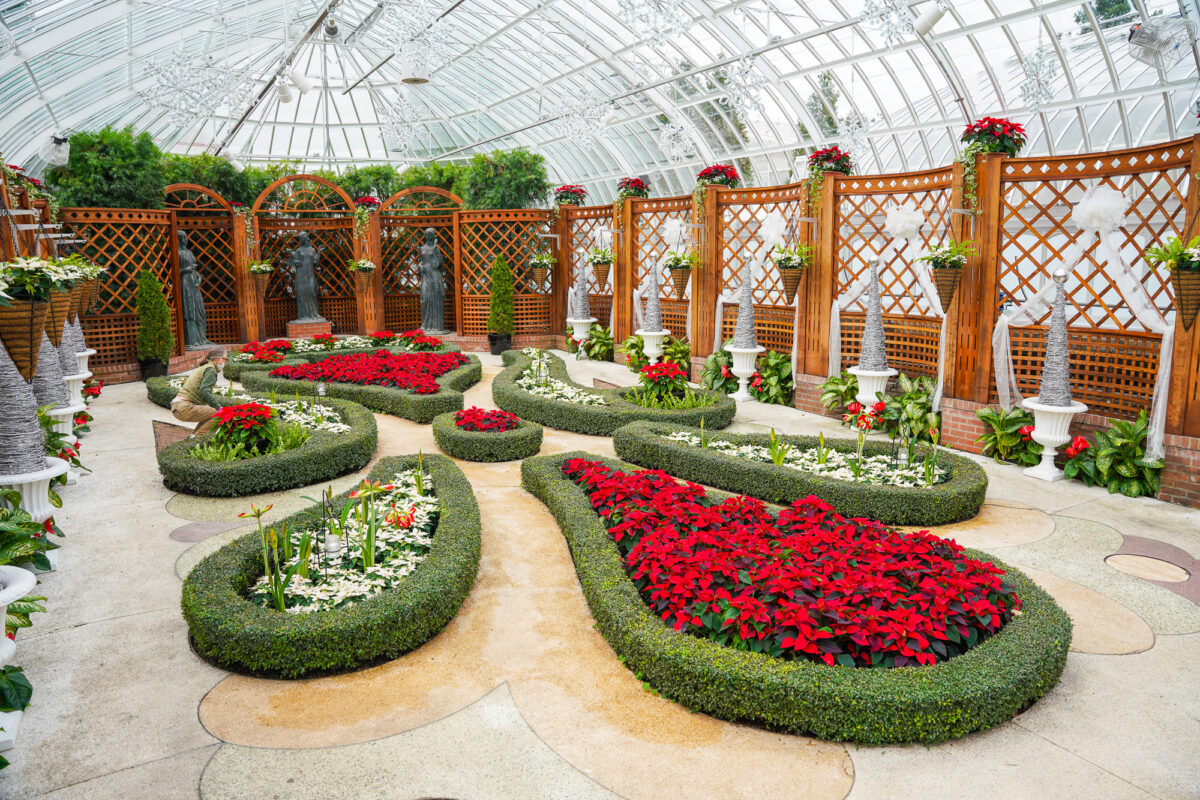 Phipps Conservatory's Winter Flower Show - Holiday Magic