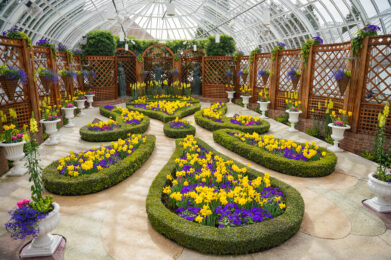 9 Indoor Activities in Pittsburgh to Enjoy on a Rainy Day