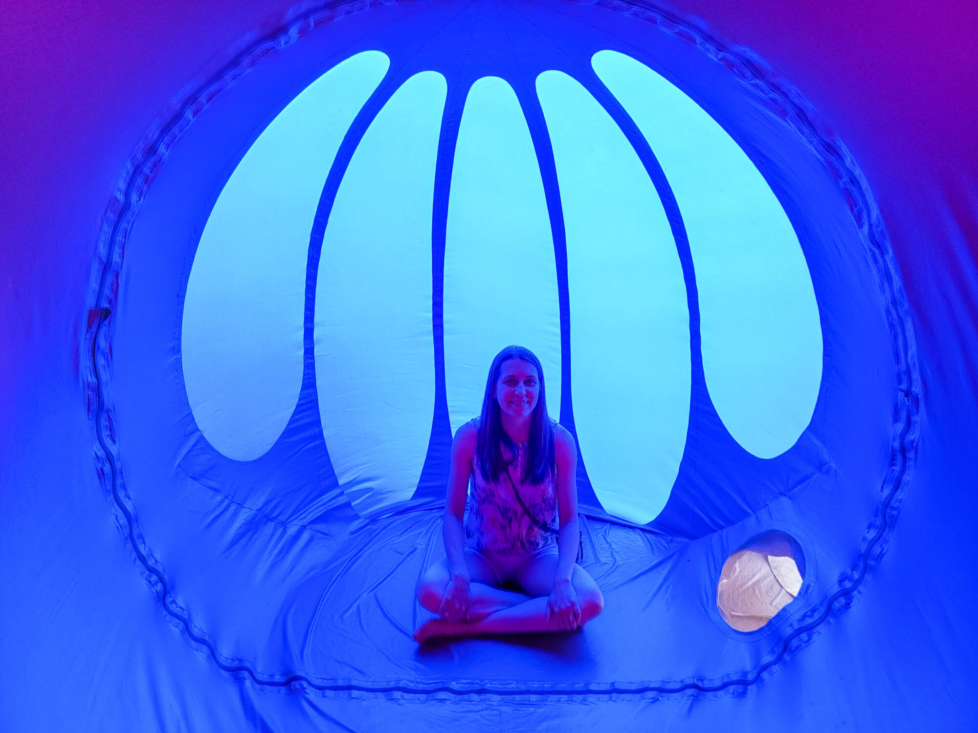 Architects of Air: Daedalum Offers a Walk Through the Art