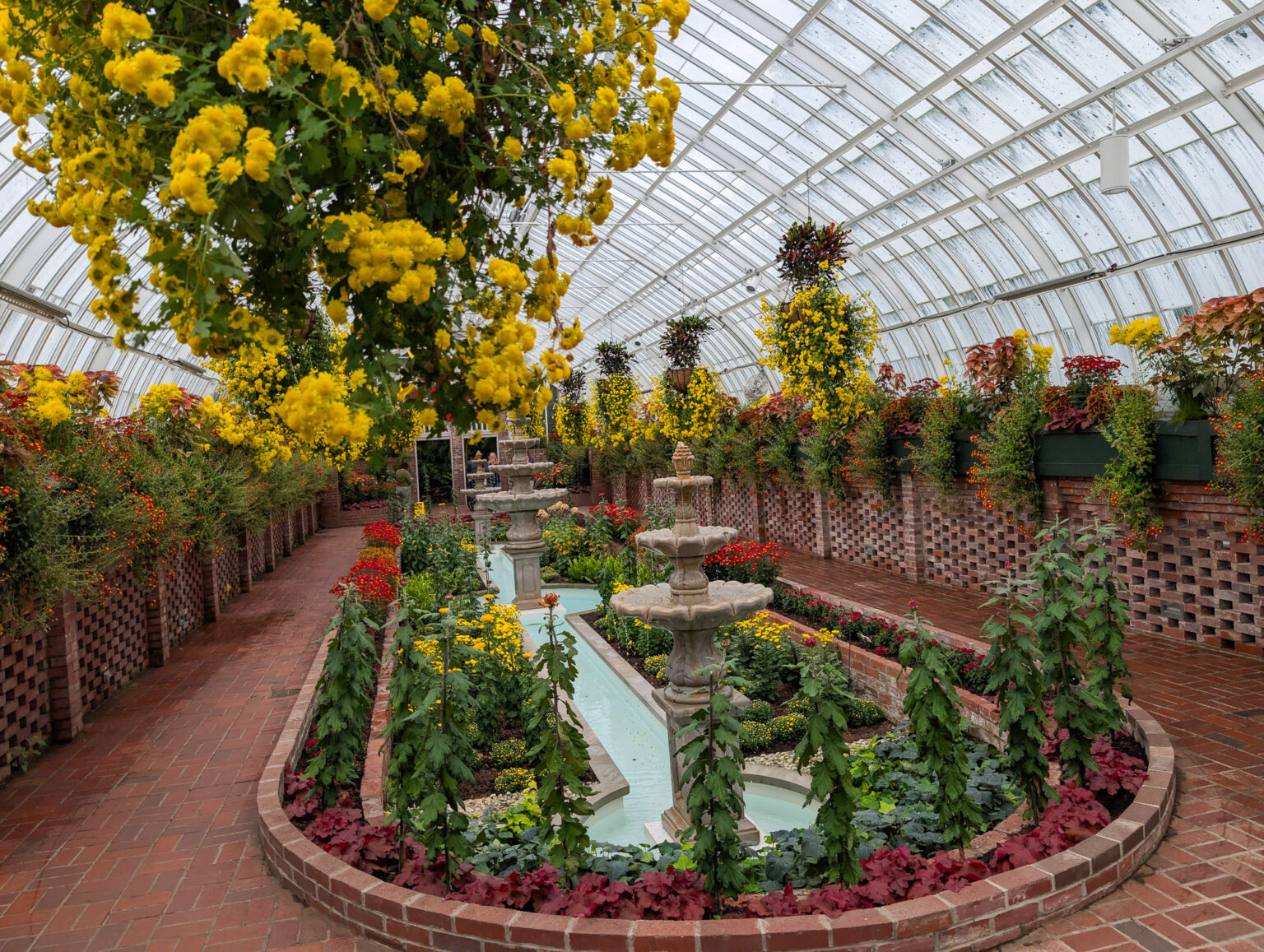 Phipps Conservatory's Fall Flower Show - Visions of Japan