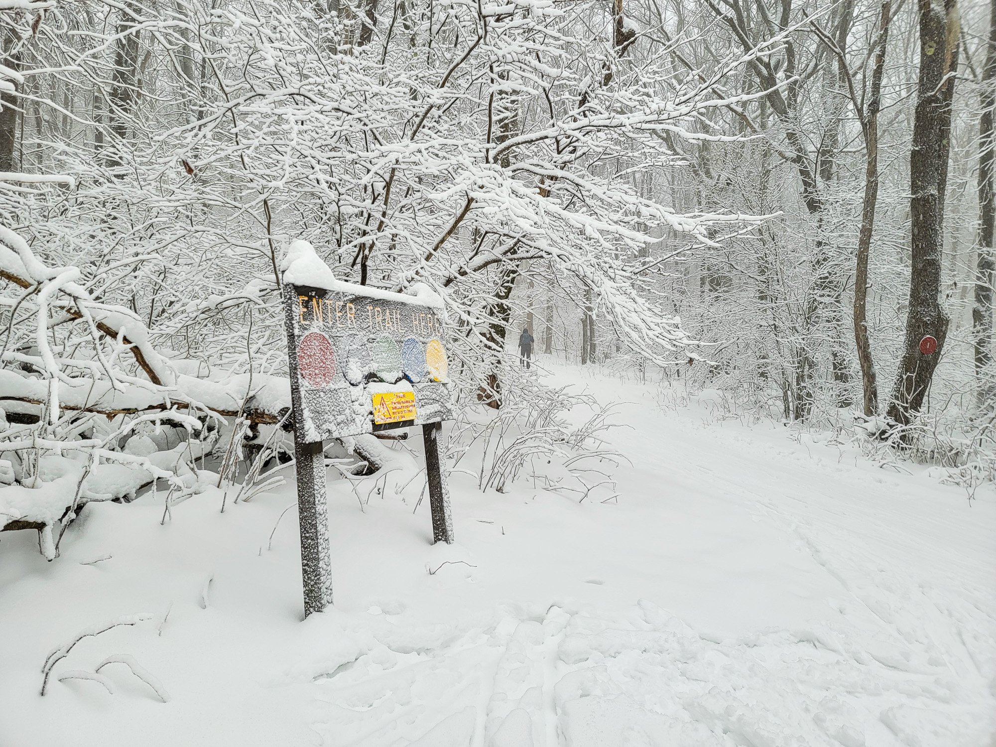 Laurel Ridge Cross Country Ski Center is a Must in Winter
