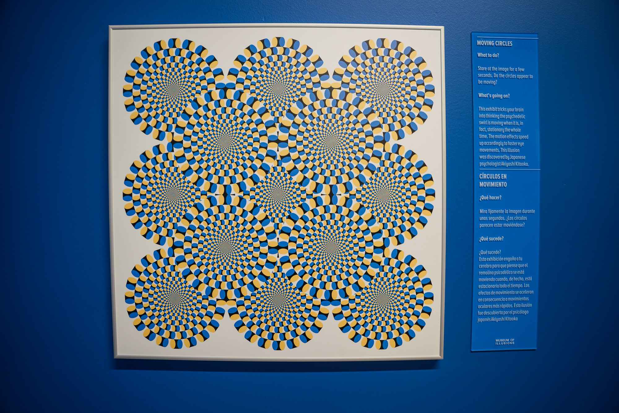 The Museum of Illusions Takes a Deep Look at Optical Tricks