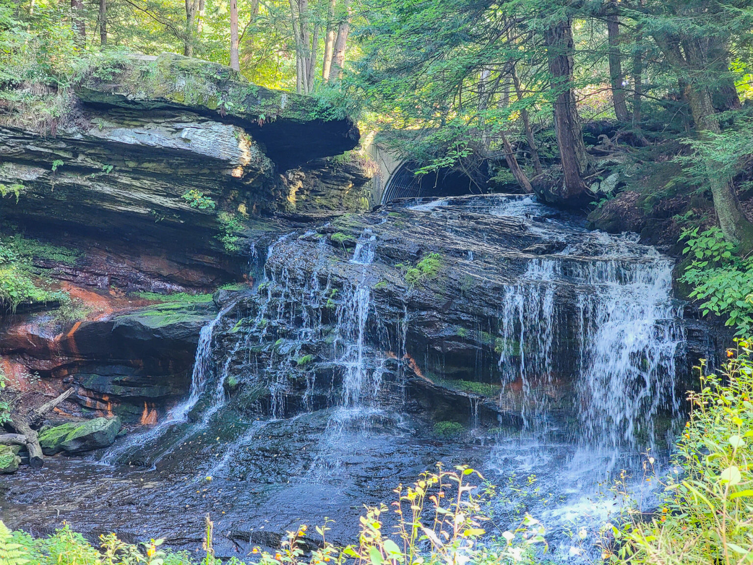 Cobblehaus at the Falls Brings Beer to Springfield Falls
