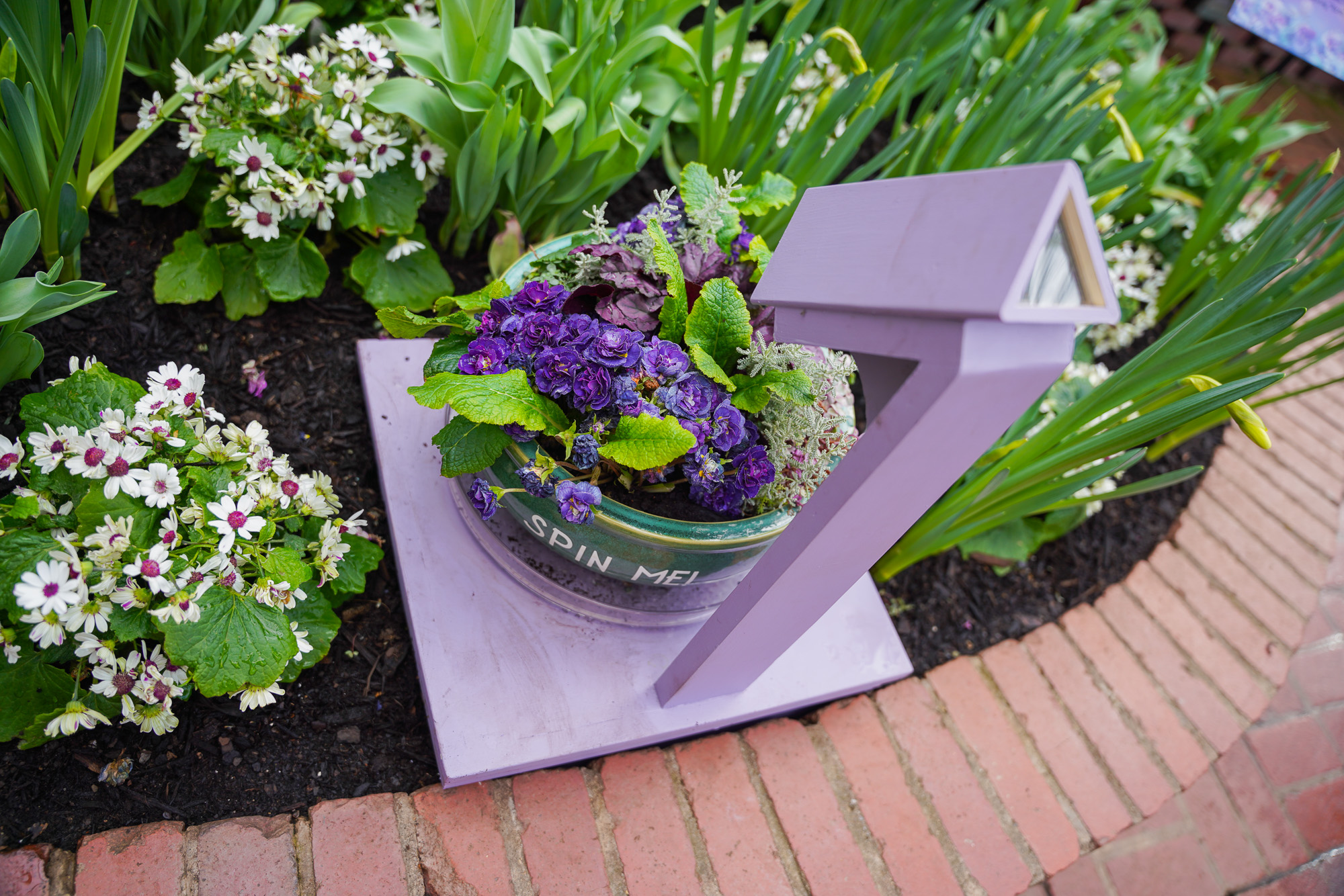 Phipps Conservatory's Spring Flower Show - A Closer Look