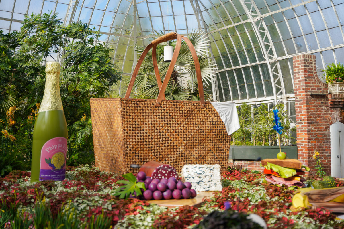 Phipps Conservatory's Spring Flower Show - A Closer Look