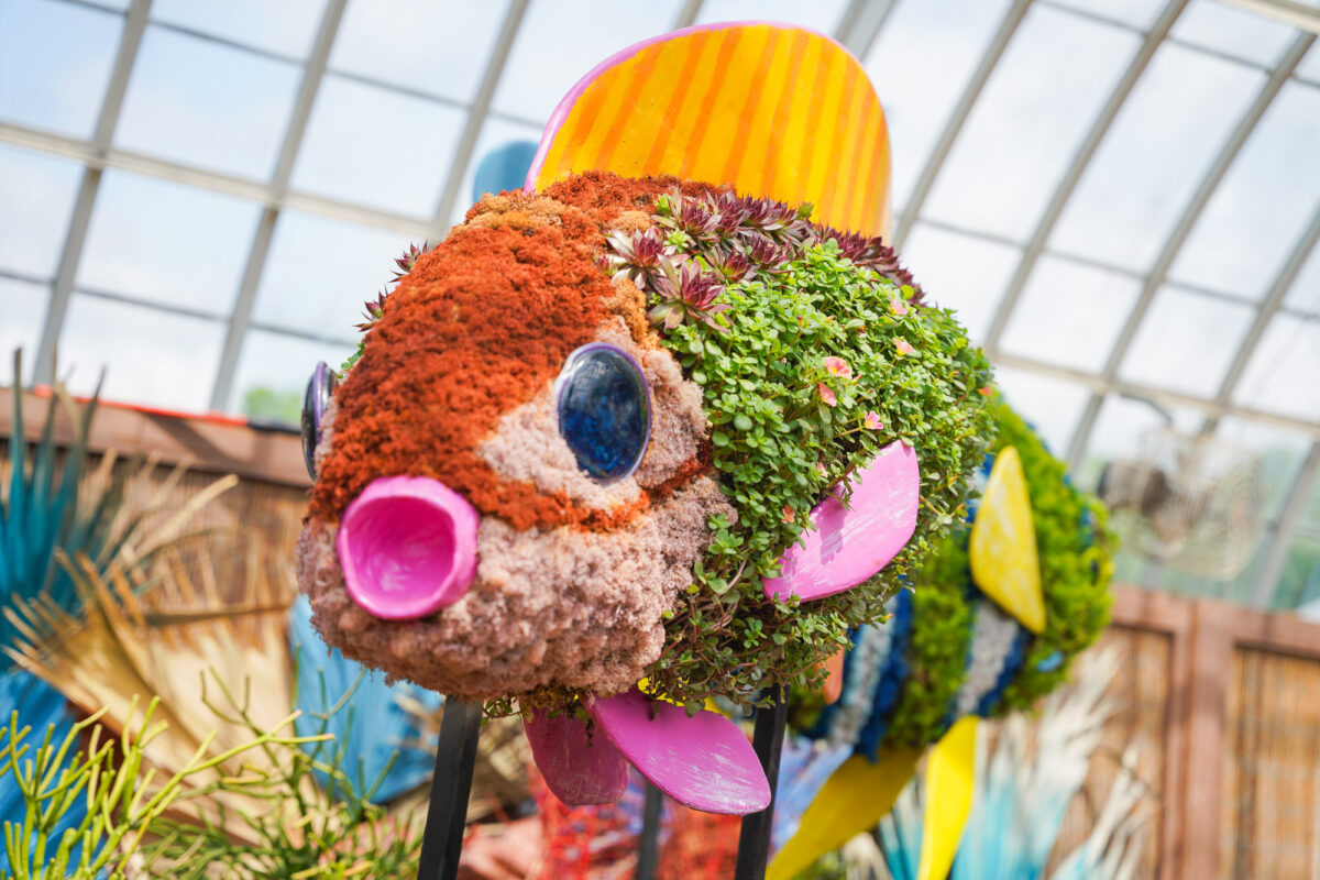 Phipps Conservatory's Summer Flower Show - Under the Sea