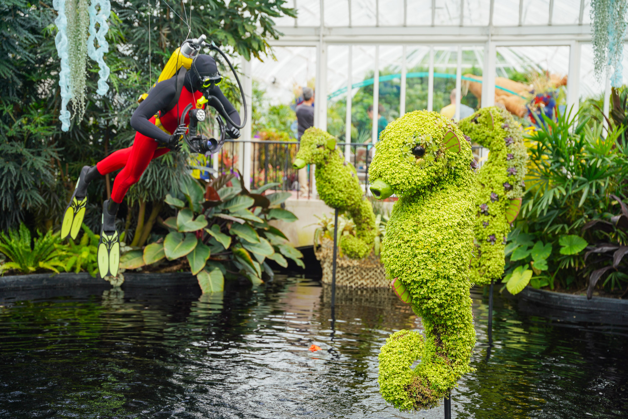 Phipps Conservatory's Summer Flower Show - Under the Sea