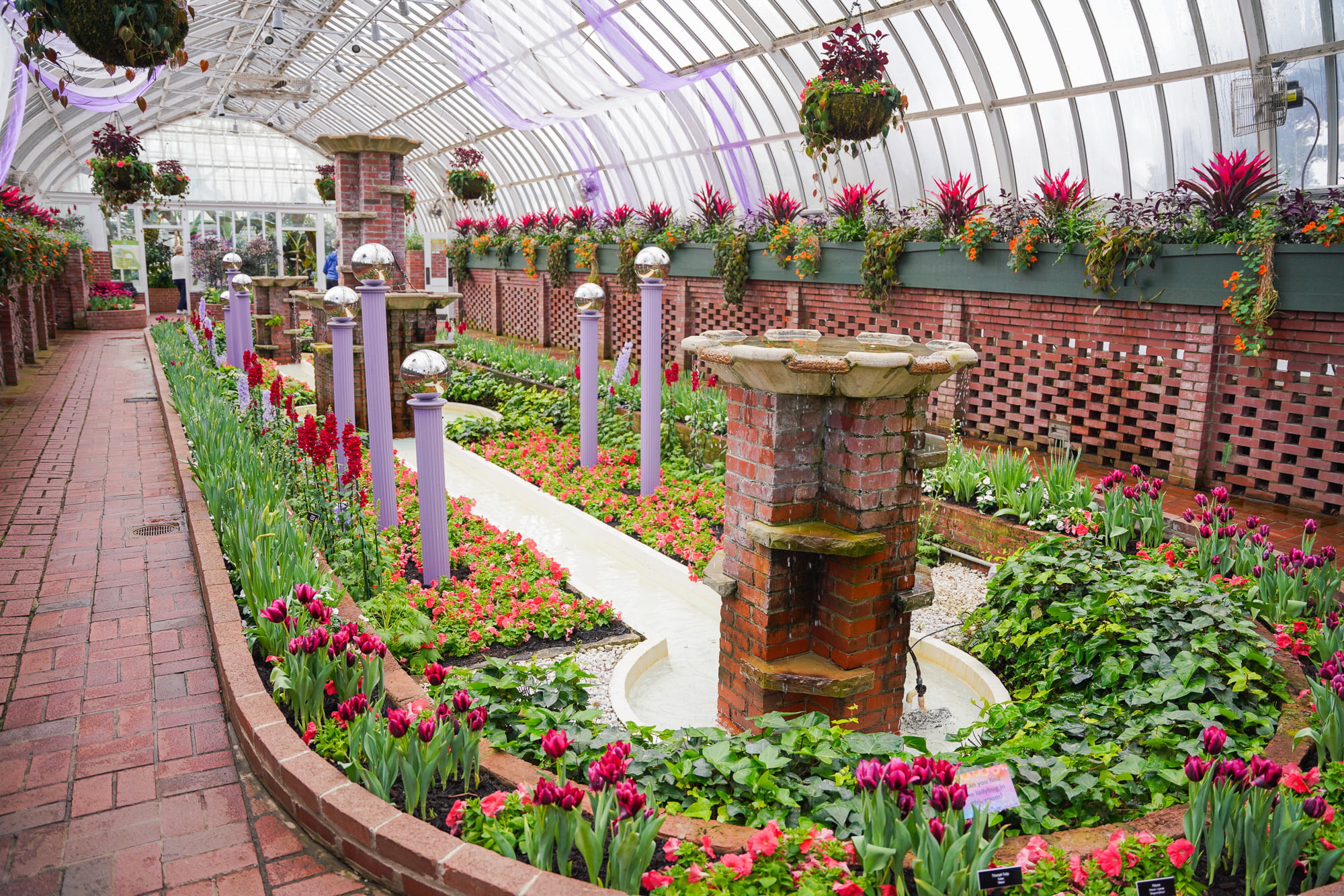 Phipps Conservatory - Discover the Burgh