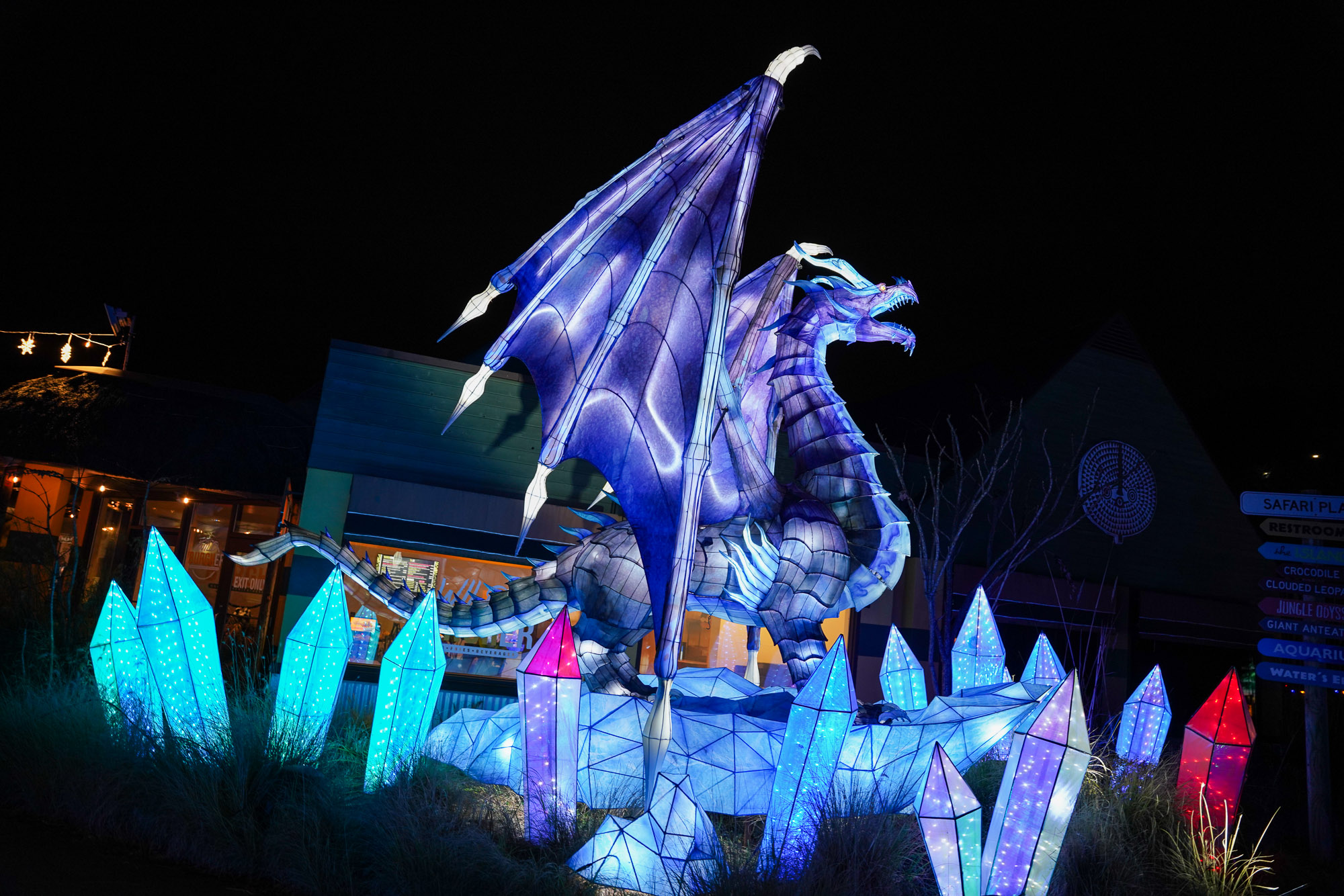 Wild Illuminations Brings Holiday Lanterns to the Zoo