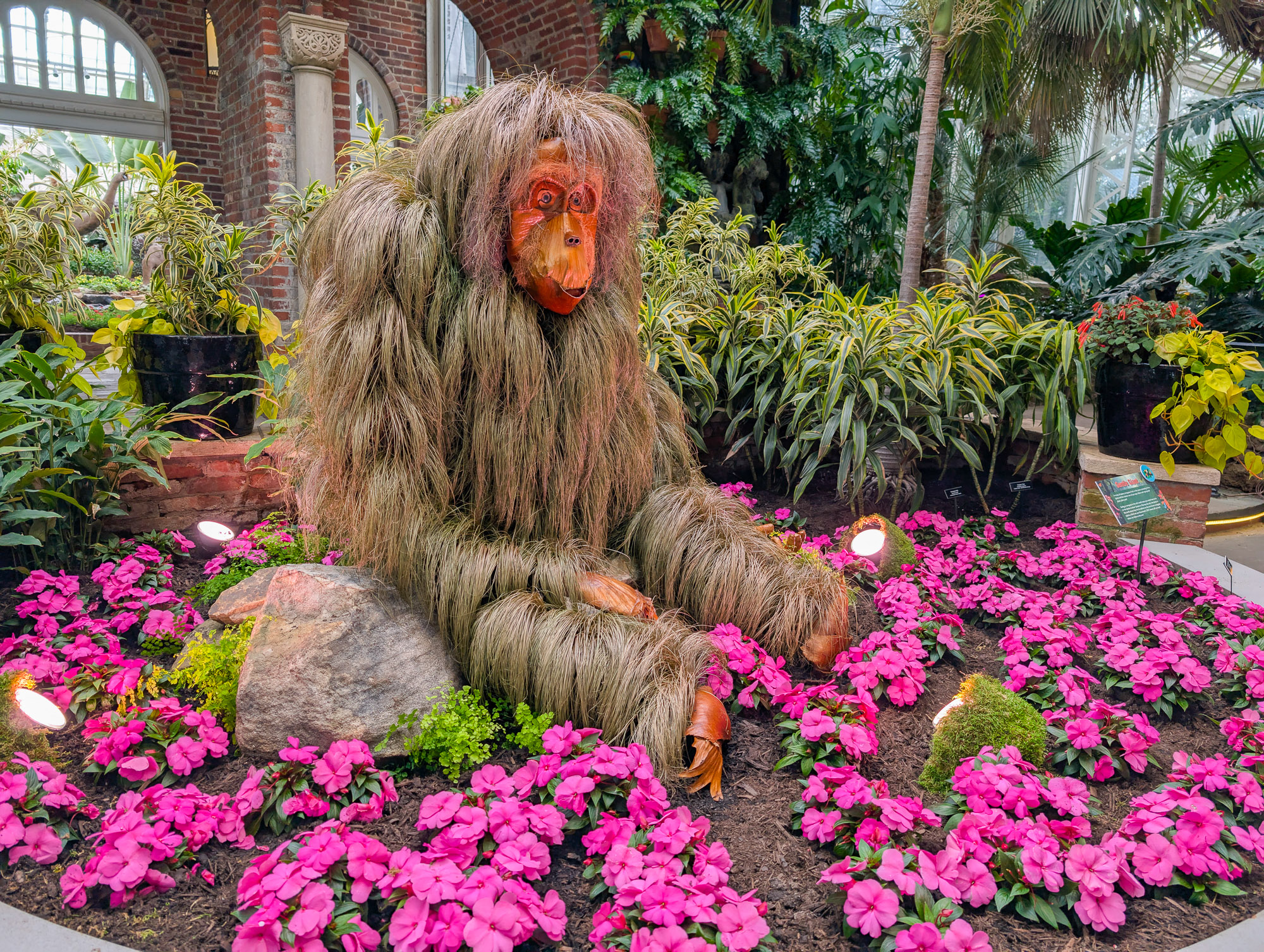 Phipps Conservatory's Summer Flower Show - Jungle Quest